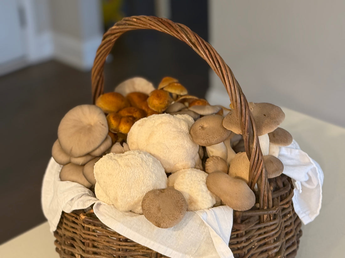 Tilted Cap Mushrooms